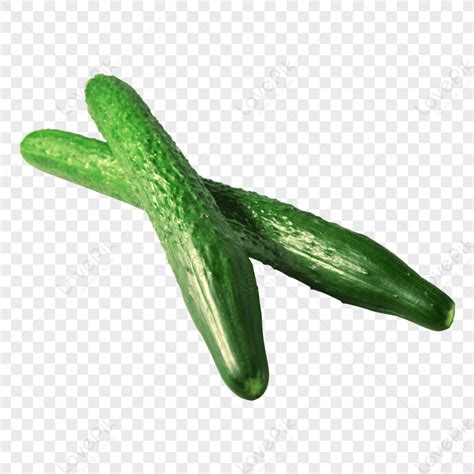 두 개의 교차 맛있는 오이식물멜론성분 Png 일러스트 무료 다운로드 Lovepik