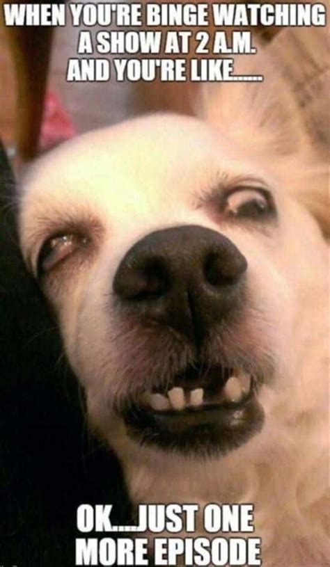 100 Funny Memes Picture