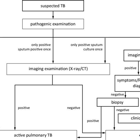 Flowchart Of Active Tuberculosis Tb Diagnosis Ct Computed Download Scientific Diagram