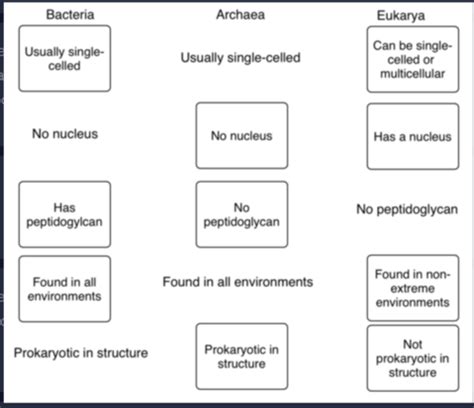 Chapter 1 Assignments Questions Flashcards Quizlet