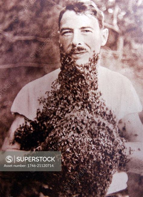 Man With A Beard Of Bees 1930 Bee Bearding Is The Practice Of Wearing