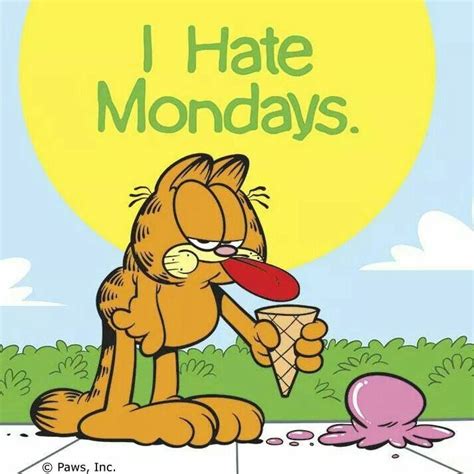 I Hate Mondays Garfield I Hate Mondays Hate Mondays Monday Humor