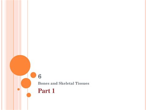 PPT Chapter 6 Bones And Skeletal Tissue PowerPoint Presentation Free Download ID 416330
