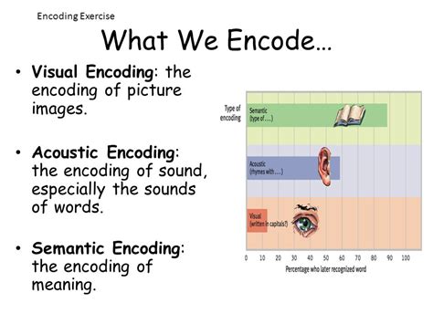 Visual Encoding Psychology