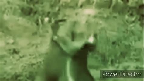 Lama Links Porno Español