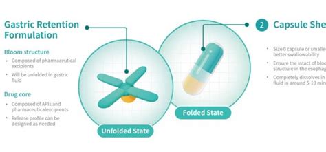 Triasteks 3d Printed Gastric Retention Product T22 Receives Fda