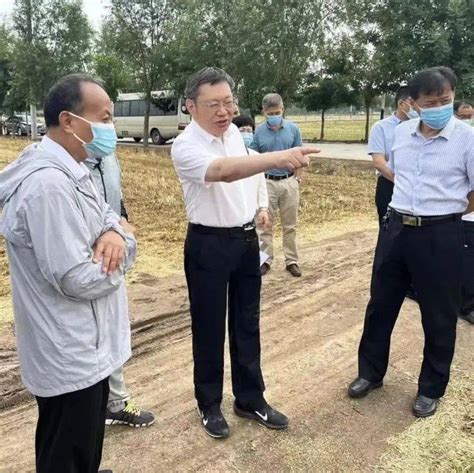 杨立中副主任带队开展粮食安全保障工作专题视察藁城农业种植