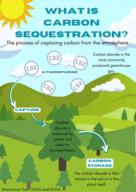 Habitats And Biodiversity Thompson Earth Systems Institute