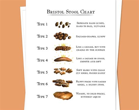 Printable Bristol Stool Chart