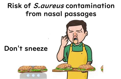 Staphylococcus Aureus From Skin Infections To Heat Resistant Food Toxins Your Essential Guide