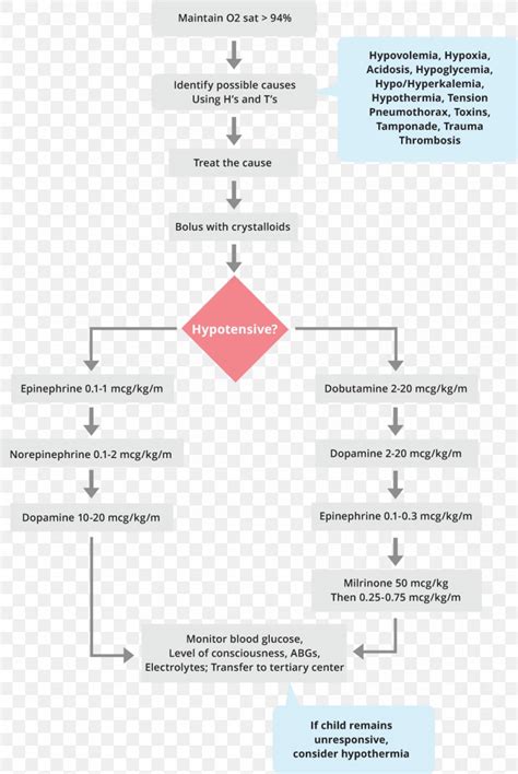 Hypovolemia Advanced Cardiac Life Support Septic Shock Pediatric