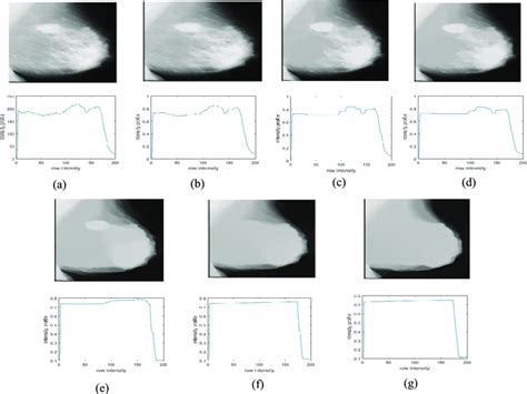 Images Obtained Using The Gradient Minimization Smoothing Method For