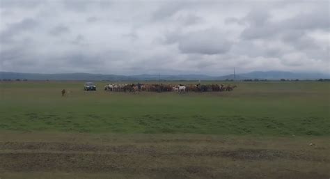 Танилц Хөдөлмөрийн баатар Л Чинбатад үүсэх Эрүүгийн хэргийн зүйл ангиуд ТАС МН