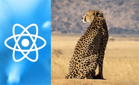 Samuel Lawrentz How To Optimize React Components Using Computed Variables