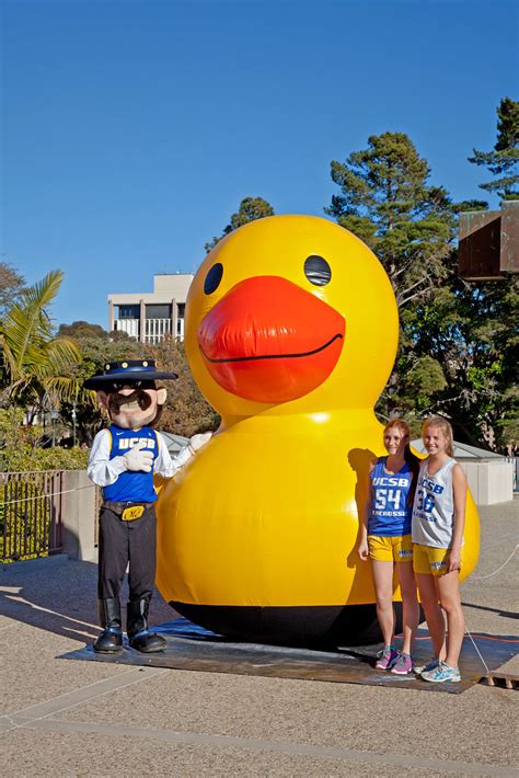 Duck And Ucsb Gaucho Mascot Duck And Ucsb Gaucho Mascot Flickr