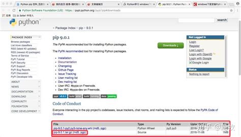 Windows下安装pippip 2312 Csdn博客