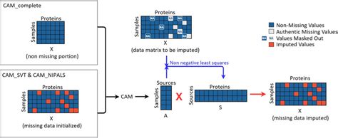 Workflow Of The Cam Based Imputation Method With Two Variant Algorithms Download Scientific