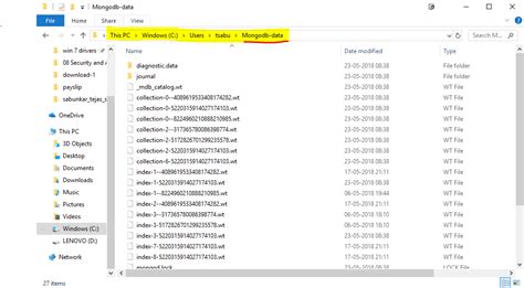 Mongodb Start Mongo From Windows Command File Stack Overflow