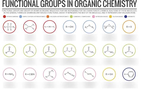 Functional Groups Diagram Quizlet