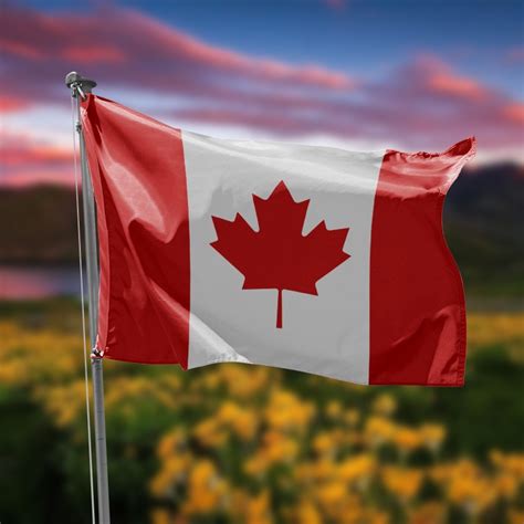 Banderas De Canadá Bandera Canadiense 280 Canadian Flag Flag Canada