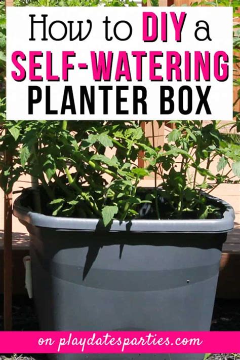 14 Self Watering Planters Diy For The Ones Without A Green Thumb