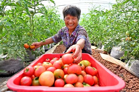 中年危機︱50歲後還能健康工作多少年？ 內地研究指 星島日報