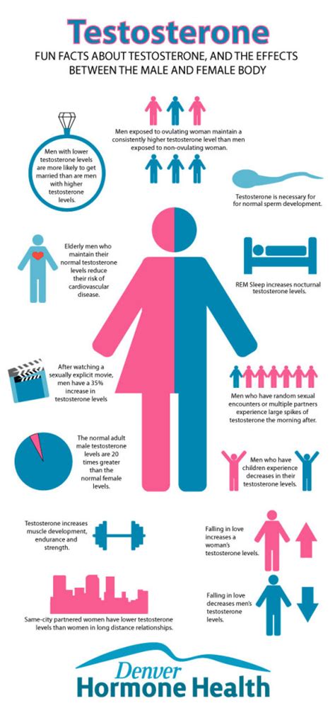 Testosterone Why It S Essential To Your Health Denver Hormone Health