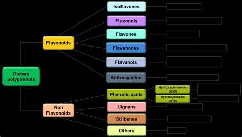 Schematic Classification Of Dietary Polyphenols And Main Relevant