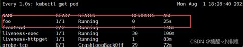 Kubernetes：（六）pod重启策略和状态解释华为pod异常重启的注意事项 Csdn博客