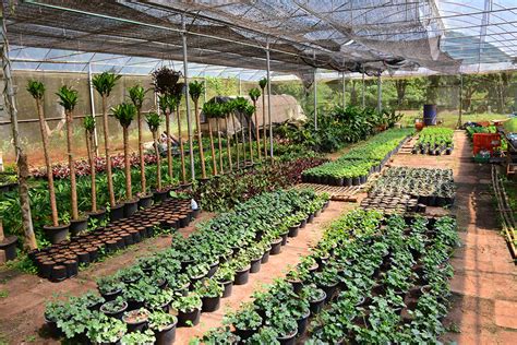 มูลนิธิโครงการหลวง Royal Project Foundation