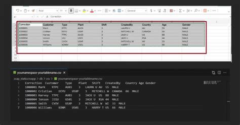 Developing A Cap Application In Vscode Using Csv Data Erp Qanda