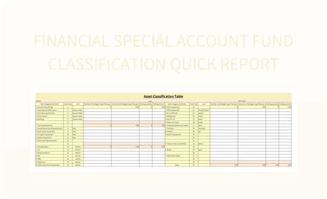 Free Financial Special Account Fund Classification Quick Report Excel