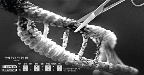 난치병 위해인간 신의 도구 유전자 가위 잡나