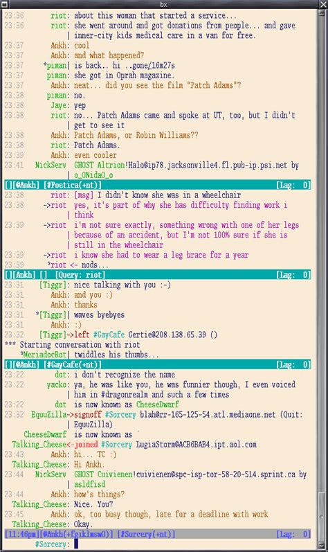 Liam S BitchX Reference