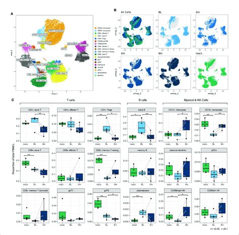 A A Umap Plot Showing 19 Manually Annotated Cell Types From 24