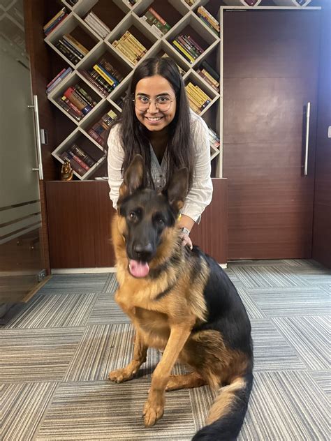 Himani Kalra On Linkedin Meet Scotch Our Office Buddy Who Brings Joy To Our Workspace Every Time…