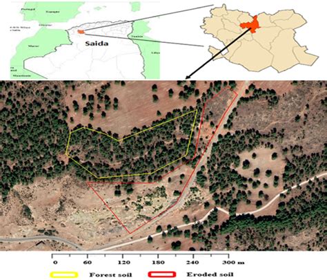Location Of The Study Area Methodology And Soil Sampling Download