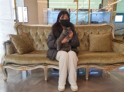 브리티시 블루 책임분양 허스키 부산포메라니안분양 비숑분양 대구강아지무료분양 말티푸성견 대구말티즈분양 믹스견 포매라니안 빅토리아펫보호소 입양완료