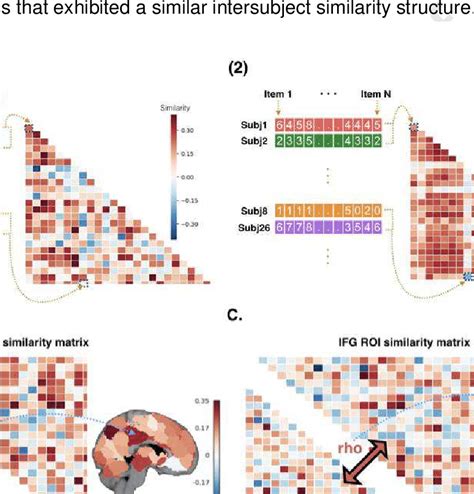 Intersubject Representational Similarity Analysis A Is Rsa Involves Download Scientific