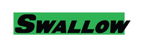 Echo Gone Wrong Baltic Art Press