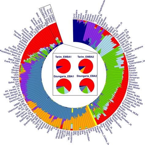 Unsupervised Admixture Plot For The Bronze Age Xinjiang Individuals We
