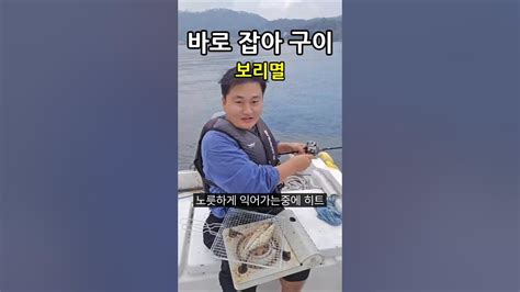 바로 잡아 석쇠 구이 보리멸 보리멸 생선구이 보트낚시 Youtube