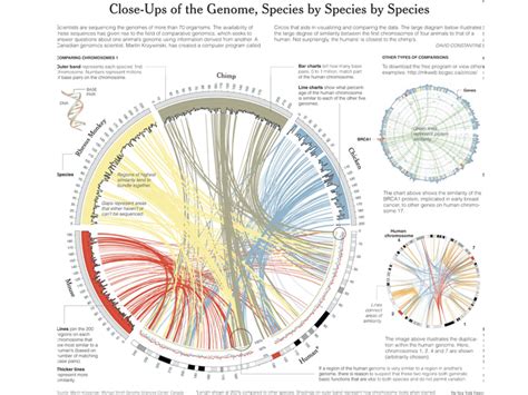 Applications Of Circos Circos Circular Genome Data Visualization