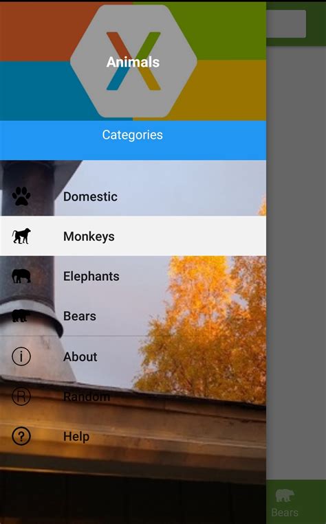 Xamarin Forms Adding A Shell Flyout Item Header Stack Overflow