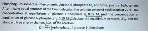 Solved Phosphoglucoisomerase Interconverts Glucose 6 Phosphate To And From Glucose 1