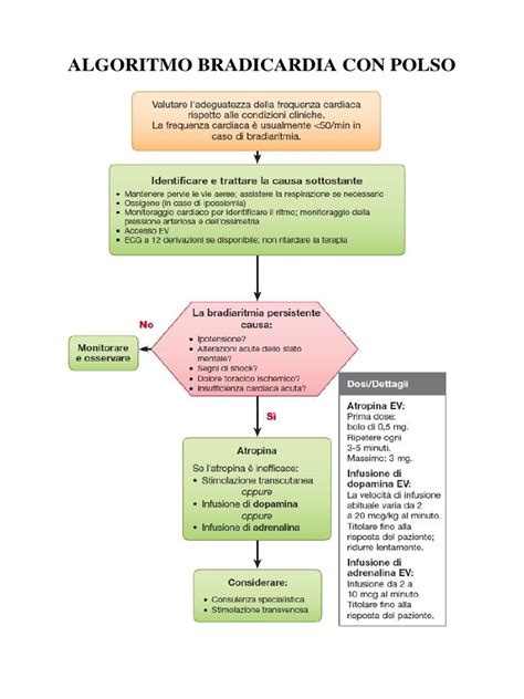 Algoritmo Bradicardia Con Polso Pdf