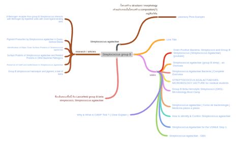 Streptococcus Group B Coggle Diagram