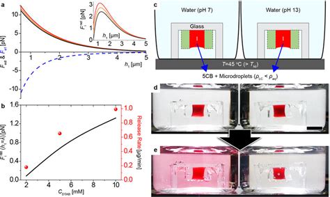 Role Of Electrical Double Layer Interactions In The Release Of Download Scientific Diagram