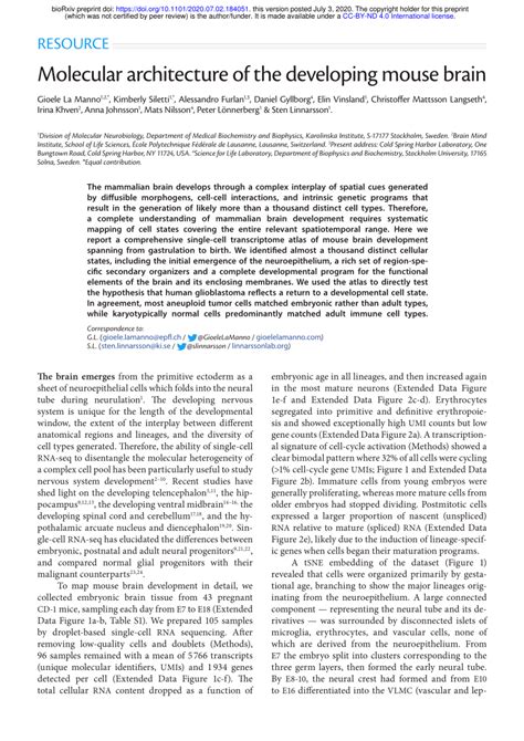 PDF Molecular Architecture Of The Developing Mouse Brain