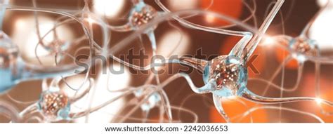 Neuron Neuron Transmits Signal Nerve Node Stock Illustration 2242036653